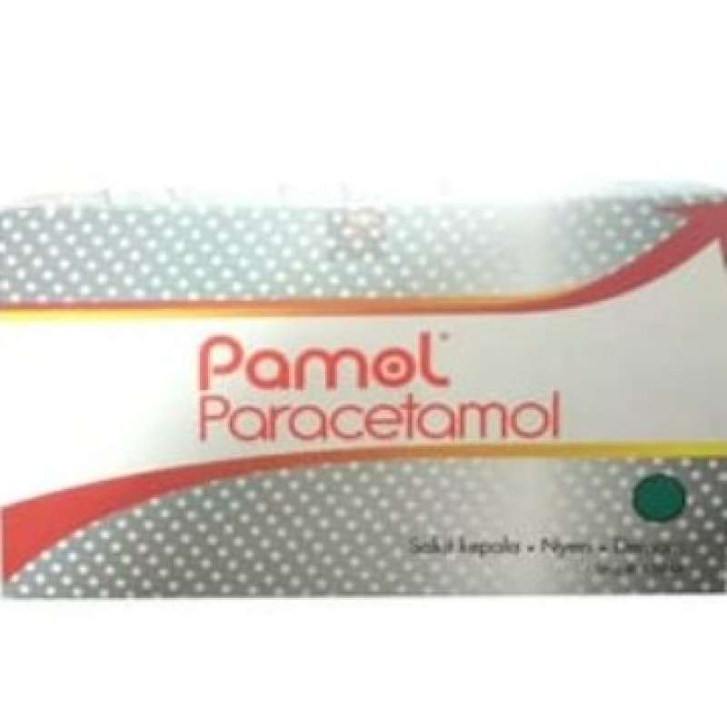 Promo Pamol Paracetamol 1 Box Isi 100 Tablet Original Diskon 17% Di ...