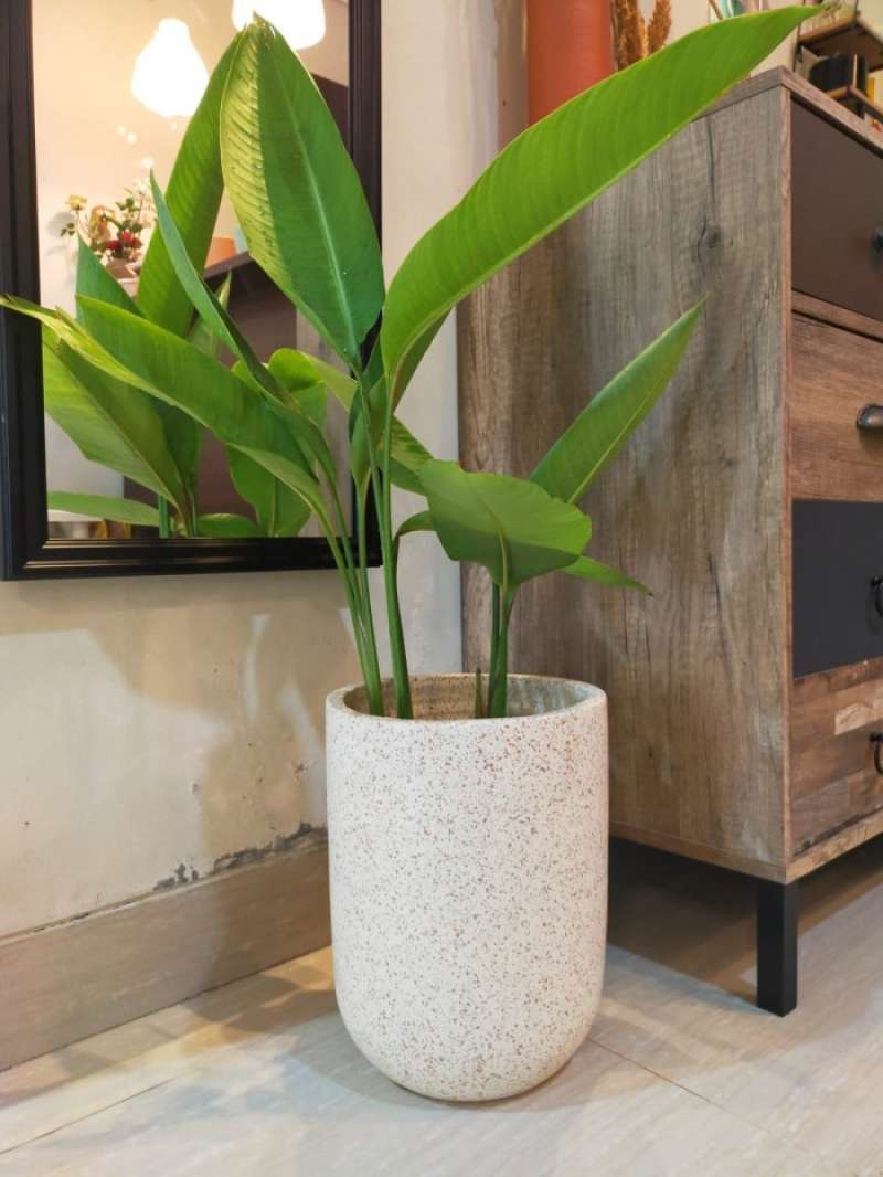 Jual Tanah Liat Pottery Original Harga Termurah Juni 2024 | Blibli