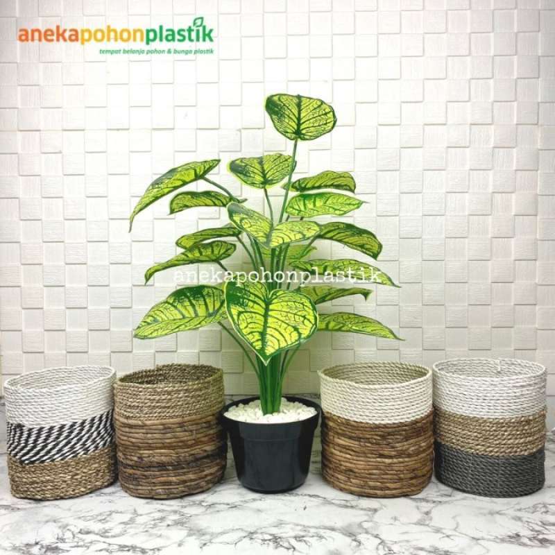 Promo Tanaman Hias Artificial Calladium X18 Pot Dasar Seagrass Home ...