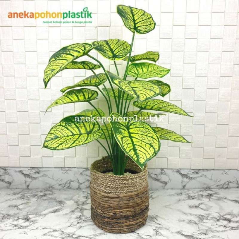Promo Tanaman Hias Artificial Calladium X18 Pot Dasar Seagrass Home ...