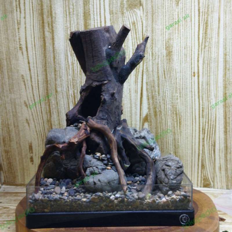 Promo shallow tank L , terrarium pot , vivarium paludarium Diskon 34% ...