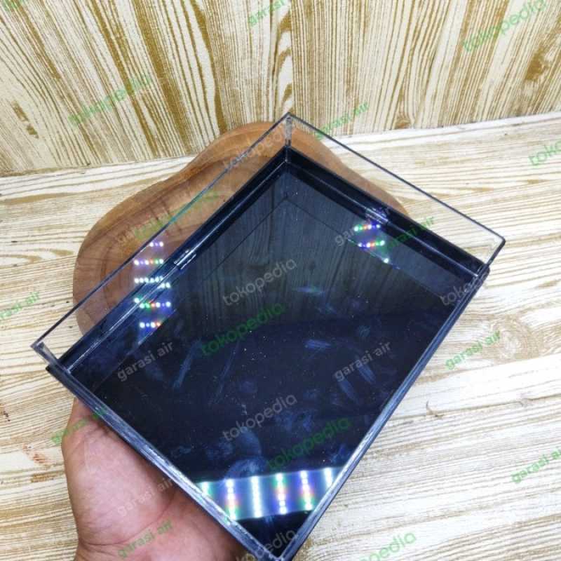 Promo shallow tank L , terrarium pot , vivarium paludarium Diskon 34% ...