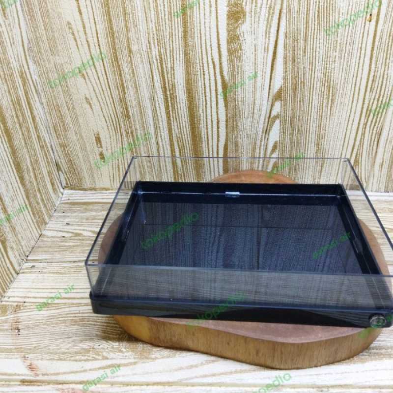Promo shallow tank L , terrarium pot , vivarium paludarium Diskon 34% ...