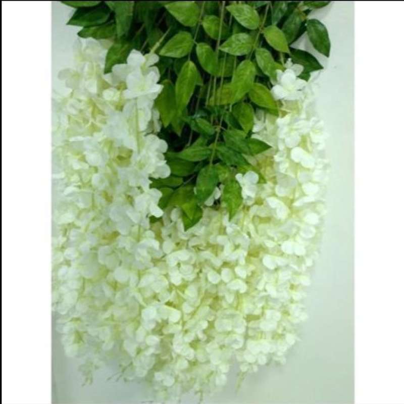 Promo Wisteria Jumbo - 512 Bunga Juntai Bunga Rambat Bunga Juntai ...