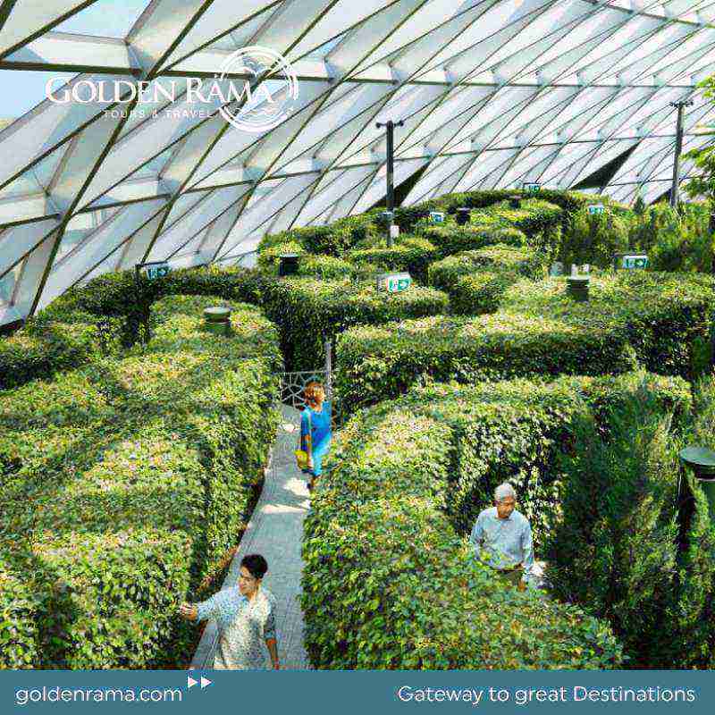 Jual Jewel Changi Airport Attractions - Mastercard Canopy Bridge - Anak ...