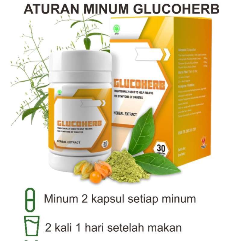 Promo Glucoherb Asli Original Obat Diabetes Gula Darah Dan Kencing ...