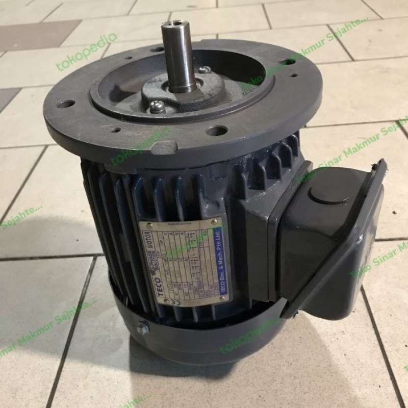 Promo Elektromotor Teco 1 Hp 4 Pole 3 Phase Flange Mounted/ Teco 0,75 ...