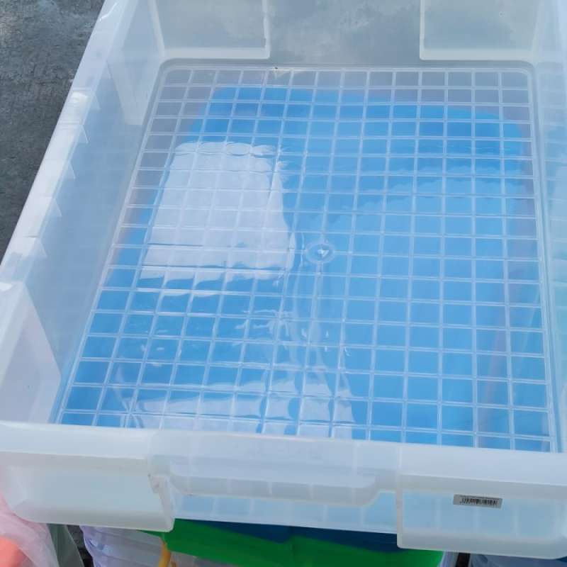 Promo Kontainer Transparan / Kontainer Roti, Serbaguna Kirapac 7101 ...