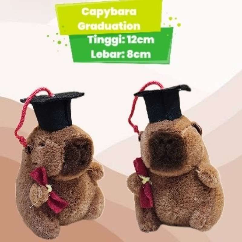 Promo Boneka Wisuda Graduation Capybara Capibara Diskon 23% Di Seller ...