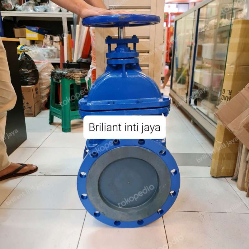 Promo Gate Valve Jis 10k Cast Iron 8 Inch Diskon 23% Di Seller Riade Store - Cengkareng Barat ...