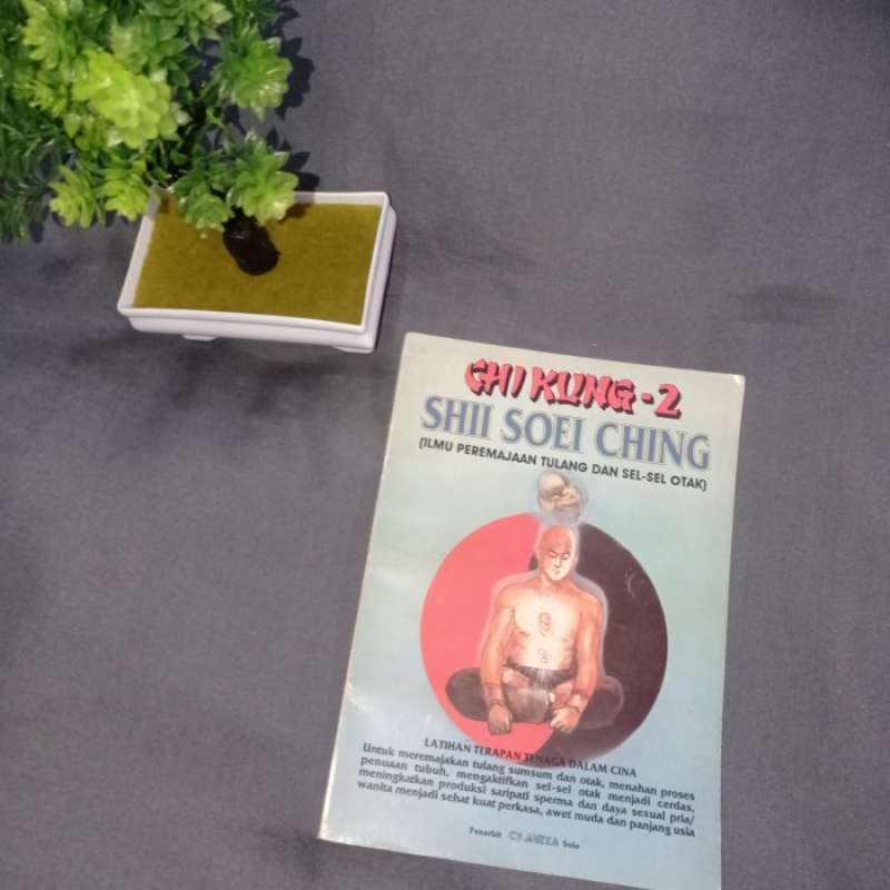 Jual Chi Kung 2 - Shii Soei Ching (ilmu Peremajaan Tulang Dan Sel-sel ...
