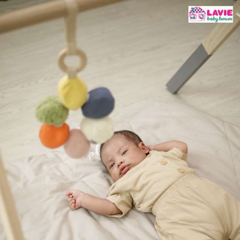 Jual Learning Time Modular Mobile - Mainan Gantung Sensorik Newborn 0-6 ...