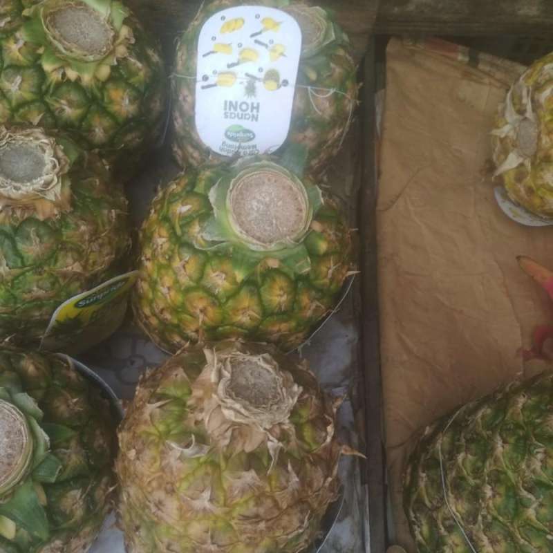 Jual Buah Nanas Honi Sunpride 1 Buah, Rasa Manis Kegar Halal di Seller ...
