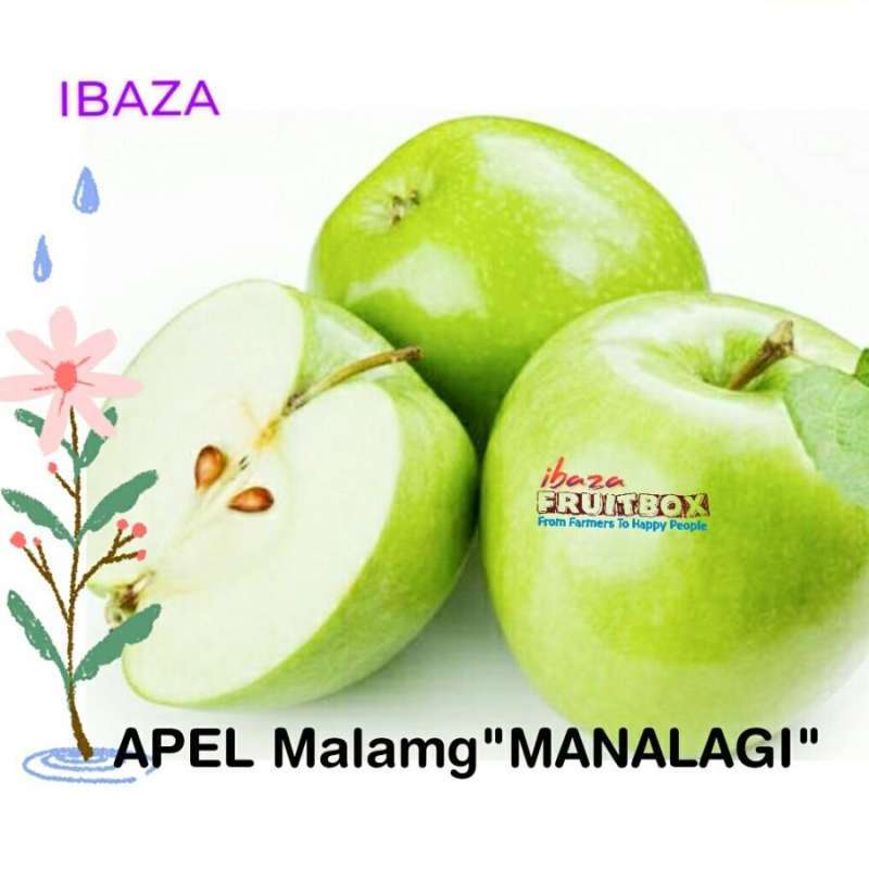 Jual Apel Manalagi Apel Malang Buah Segar Ibaza Fruitsbox - 1 Kg Di ...