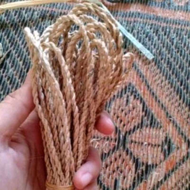 Jual Pelepah Pisang Kering Original Murah - Harga Diskon Juni 2024 ...