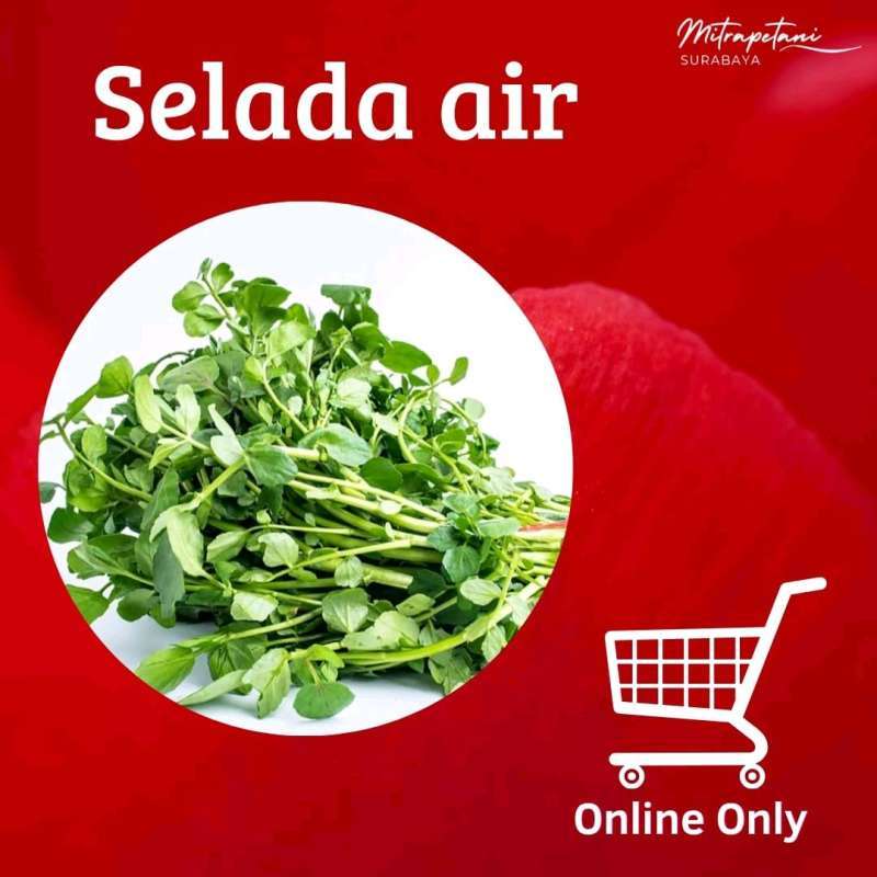 Selada Air 1 Ikat Gratis Ongkir 🏷️ Harga Murah Juli 2025