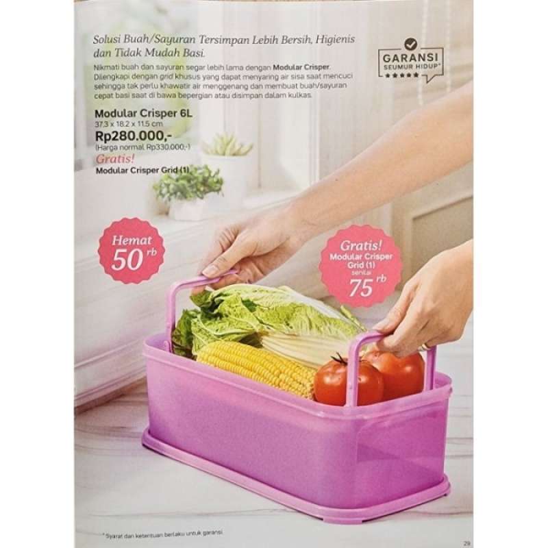 Jual Tupperware Modular Crisper 6l Kotak Sayuran Di Seller Indah ...