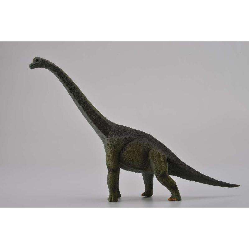 Jual Collecta Miniatur Brachiosaurus Di Seller Toys Kingdom Indonesia ...