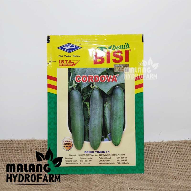 Jual Benih Timun Cordova 10 gram Cap Kapal Terbang dataran rendah ...