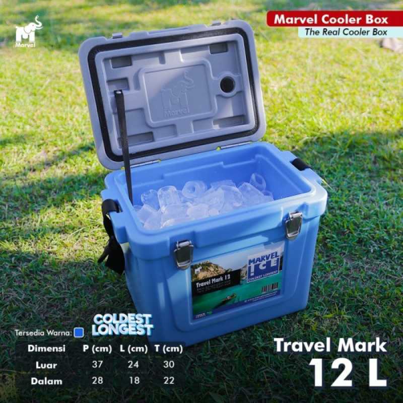 Promo Cooler Box 12 L kecil mini penyimpanan obat Cool ice travel ...