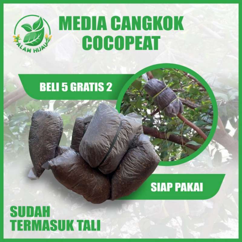 Jual Media Cangkok Cocopeat Siap Pakai Sudah Termasuk Tali Di Seller ...