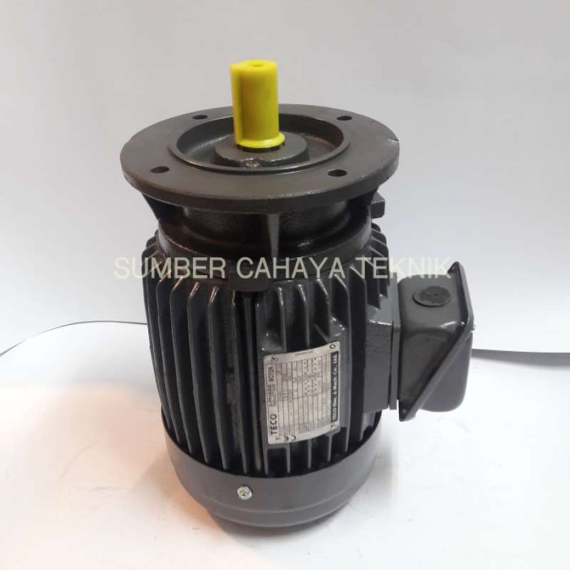 Promo Teco 2 Hp 3 Phase Induction Motor Dinamo / Elektro Motor Flange Diskon 23% Di Seller ...