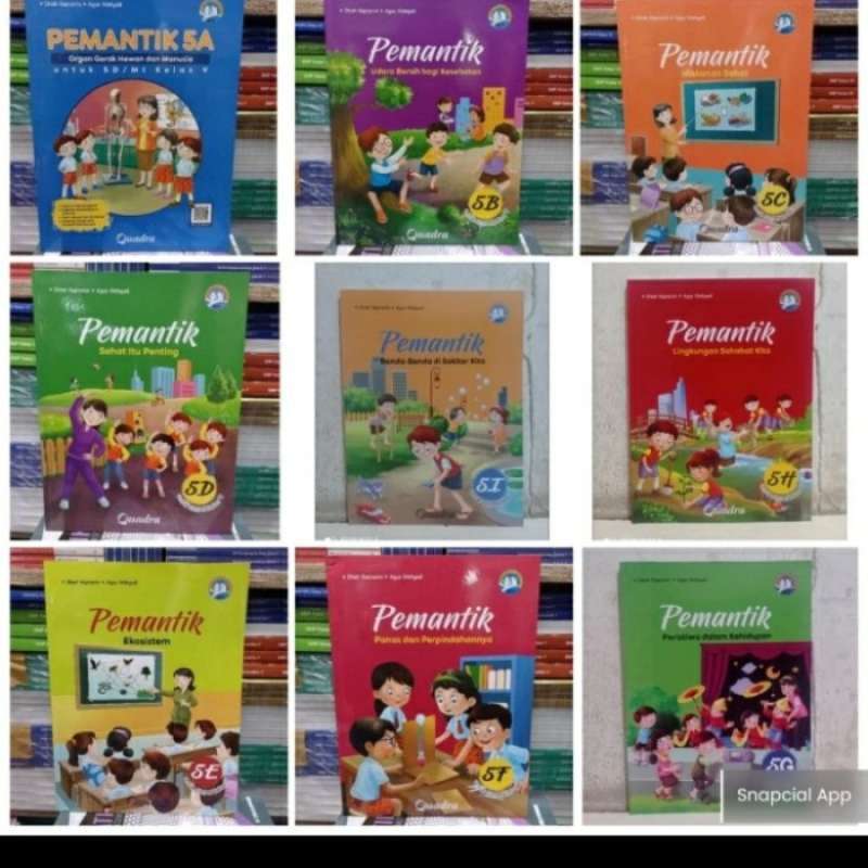 Jual Buku Pelajaran Pemantik Sd Kelas 5 Quadra Di Seller Noelle ...