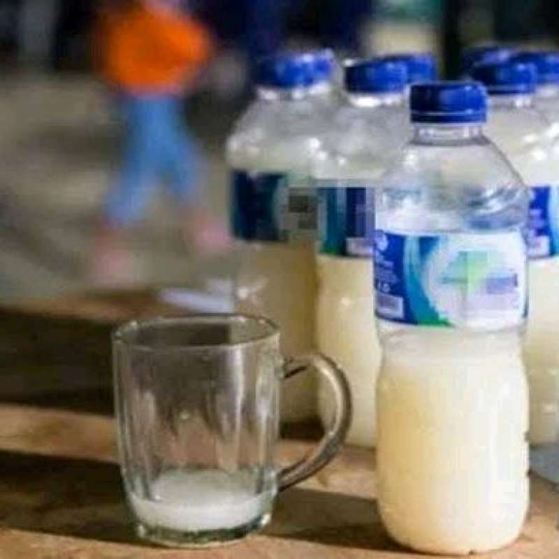 Jual Toak Khas Tuban Pluruh Batu Ginjal Tanpa Operasi(kemasan Hemat ...