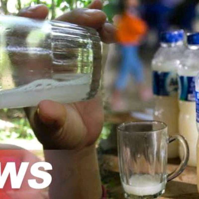 Jual Toak Khas Tuban Pluruh Batu Ginjal Tanpa Operasi(kemasan Hemat ...