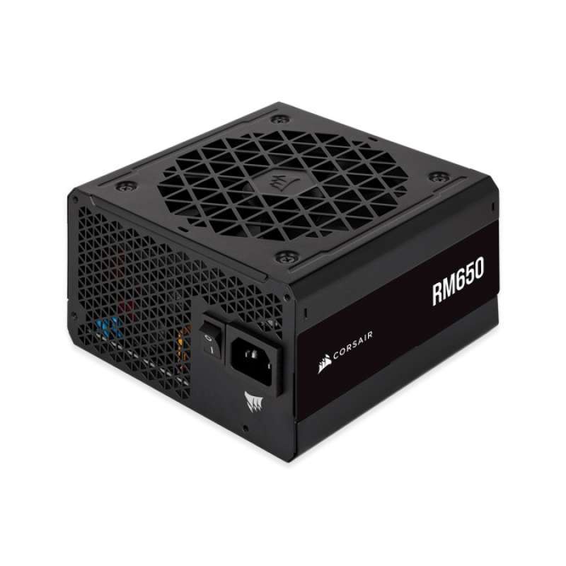 Jual Rm Seriesâ„¢ Rm650 650 Watt 80 Plusâ® Gold Certified Fully Modular ...