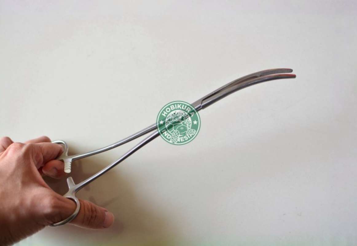 Jual Capitan Tikus / Pinset / Gunting / Jepitan / Tong Stainless Steel ...