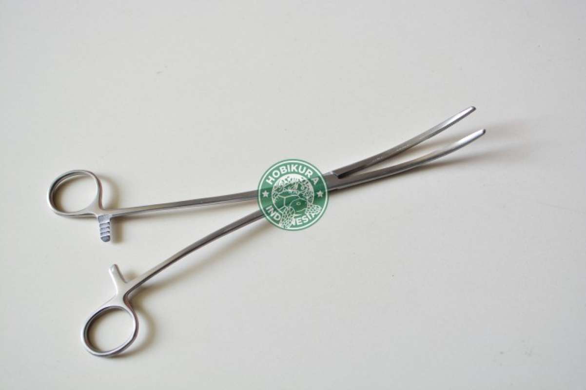 Jual Capitan Tikus / Pinset / Gunting / Jepitan / Tong Stainless Steel ...