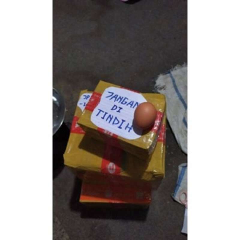 Jual Telur Ayam Ras Rhode Island Red(rir)petelur Handal Untuk Di ...
