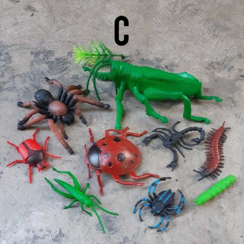 Jual Mainan Insect World - Hewan Serangga Anak Edukatif Kebun Binatang ...
