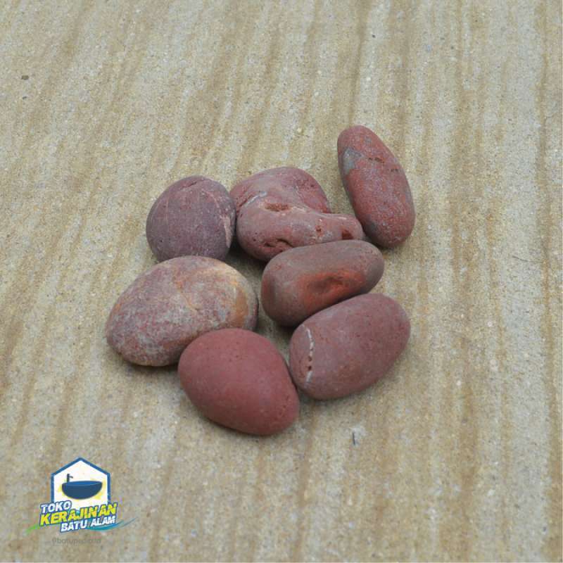 Promo Batu Koral Alor Merah Asli Cocok Untuk Taman Dan Carport Diskon ...