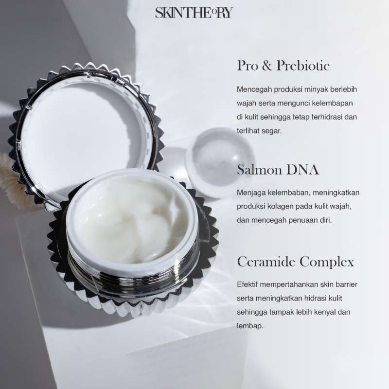 Jual Skintheory Cerablemish Barrier Multi Cream Skintheory Skinteory ...