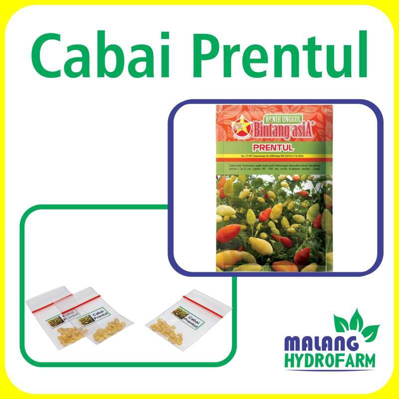 Jual Benih Cabai Rawit Prentul Repack Bintang Asia biji bibit cabe ...