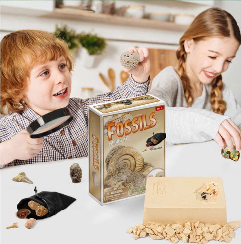 Promo Mainan Arkeolog Digging Toys Fossils Mining Kit Fosil Harta Karun ...