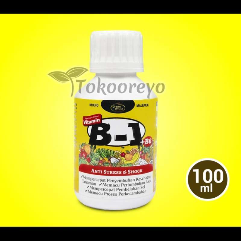 Promo VITAMIN B1 + B6 GREEN WORLD 100 ML ANTI STRESS TANAMAN Diskon 9% di Seller REGANS STORE ...