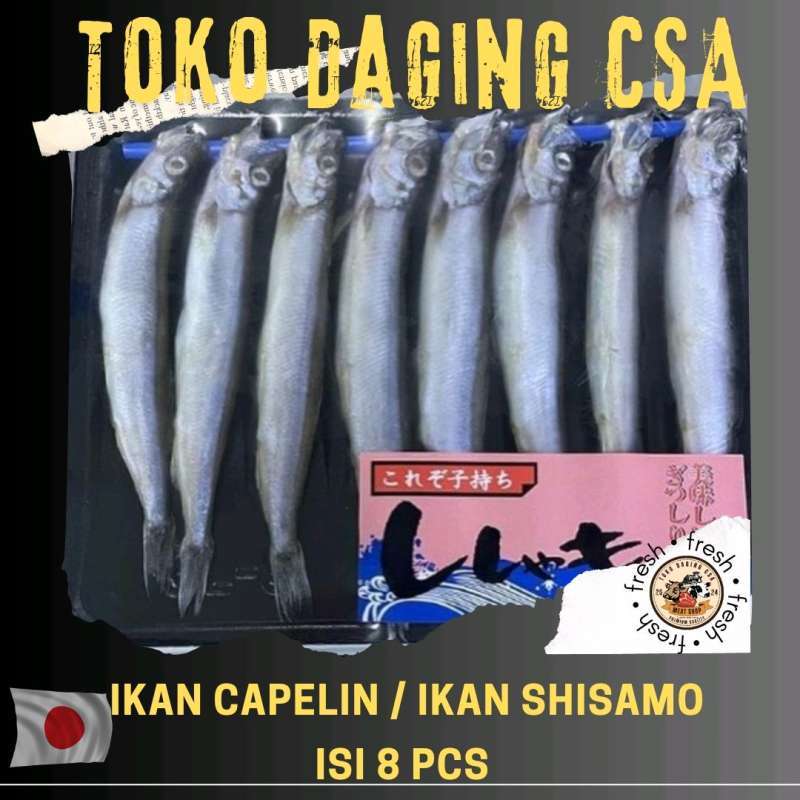 Jual Ikan Capelin / Ikan Shisamo / Ikan Telur / Ikan Cipung Frozen Di ...