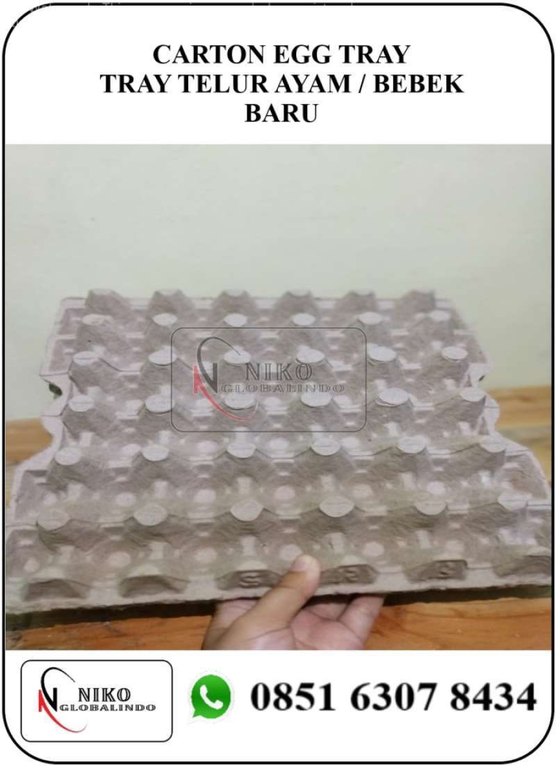 Jual Carton Egg Tray-tempat Telur Karton-tray Telur Karton-egg Tray ...