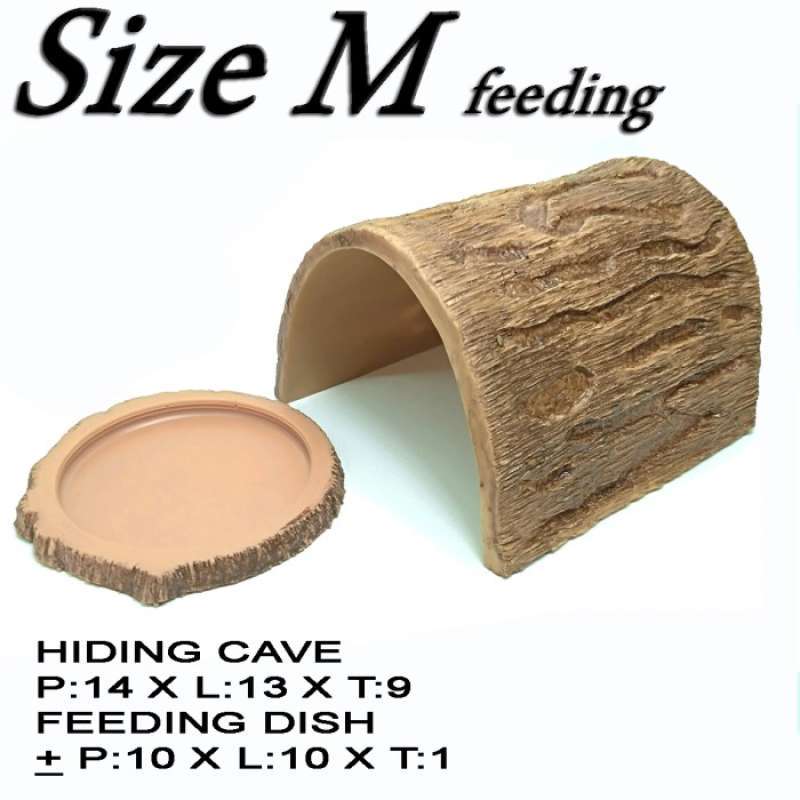 Promo C Ramosus Cangkang Shell Kelomang Keong Umang Hermit Crab Natural ...