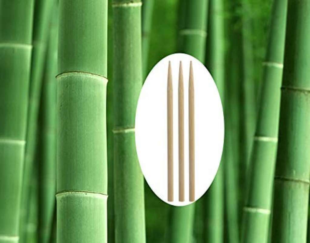 Jual Penta Angel 5.5 Inch Thick Bamboo Sticks For Cotton Candy Di ...