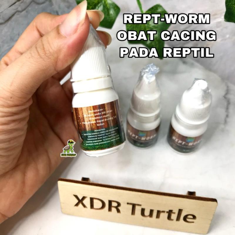 Jual Rept-worm Obat Cacing Reptil Kura Darat Sulcata Forsteni Pardalis ...