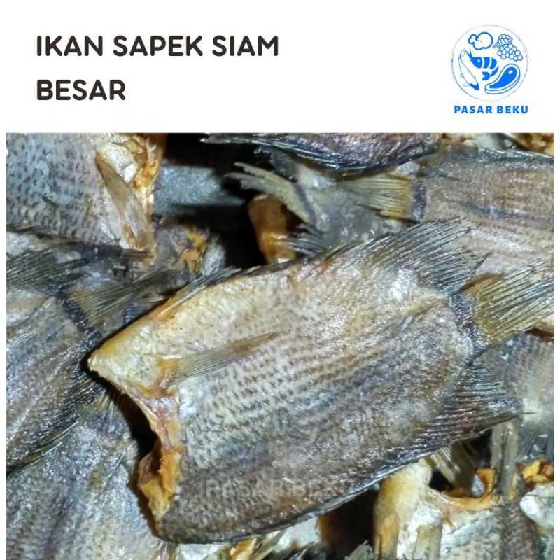 Jual Ikan Asin Sapek Siam 250 Gram Ikan Sepat Khas MInang Pasar Beku ...