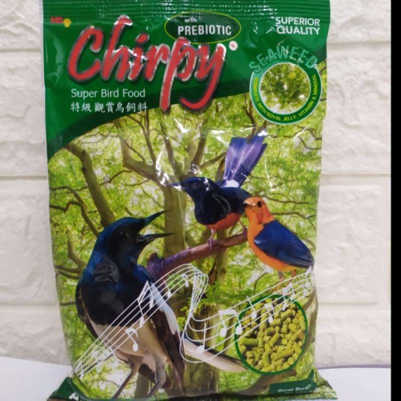 Burung Anis Matahari