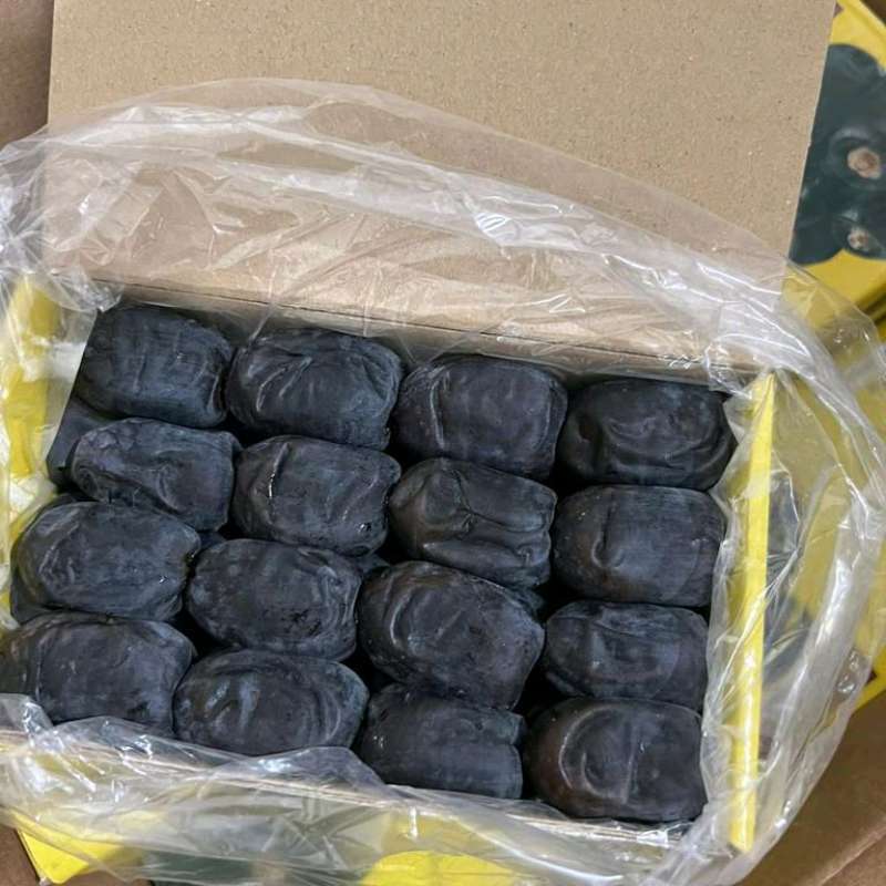 Jual Kurma Humaira 🏷️ 100% Original, Harga & Kualitas Terbaik Februari 2025