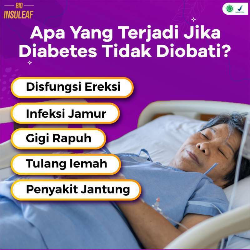 Jual Bio Insuleaf Insulin Alami Solusi Tepat Atasi Diabates Dan Kencing ...