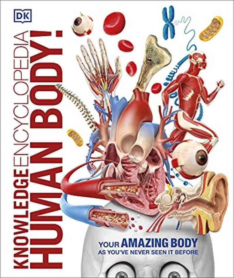 Promo Knowledge Encyclopedia Human Body! Diskon 23% Di Seller Emerald Store - Petojo Utara, Kota ...