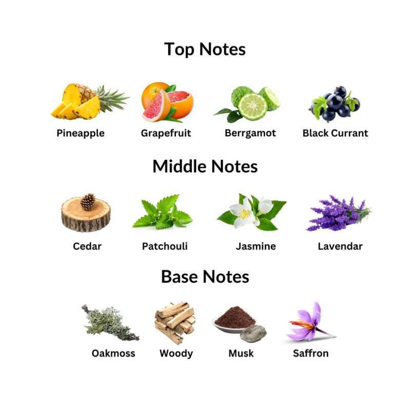 Promo Parfum Rue Broca Theoreme Matrix Edp 90ml For Men Diskon 33% Di ...